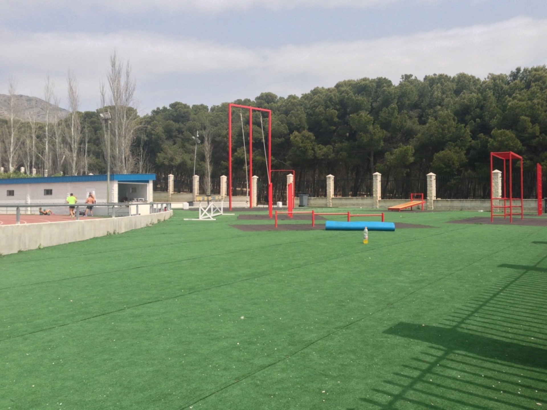Sol Sports - Athletics Training Camps in Torremolinos, Spain
