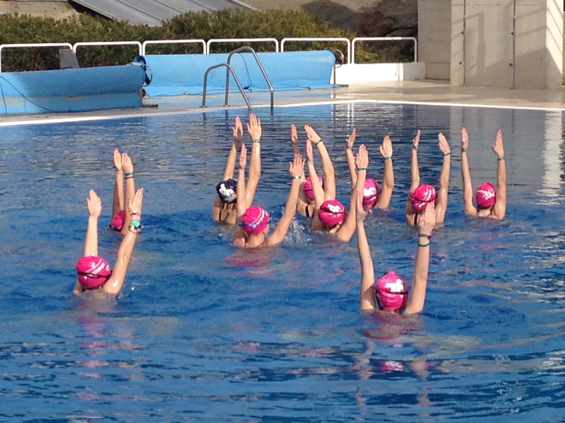 Sol Sports - Swimming Training Camps at Top Class Olympic Facilities